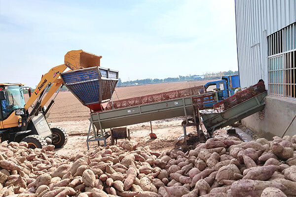 What Equipment is Needed to Produce and Process Sweet Potato Starch?: gudeweiyp